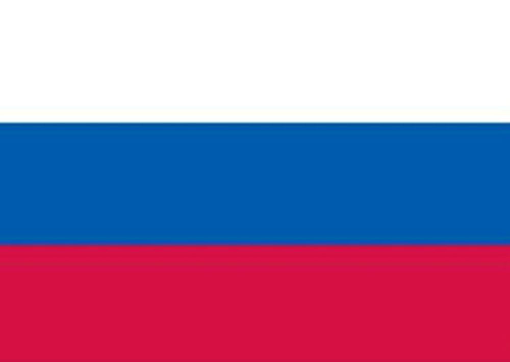 Russian synagogue firebombed
