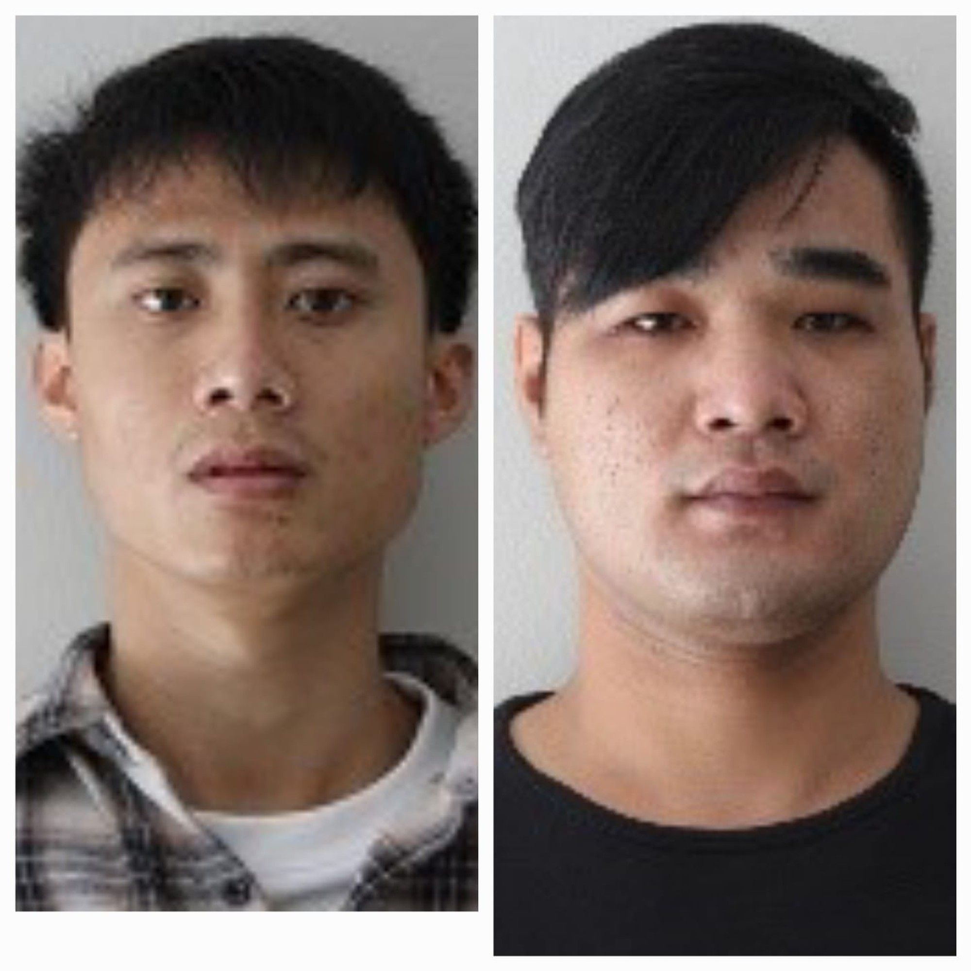 Chinese nationals sentenced for possession of R6. 5 million abalone