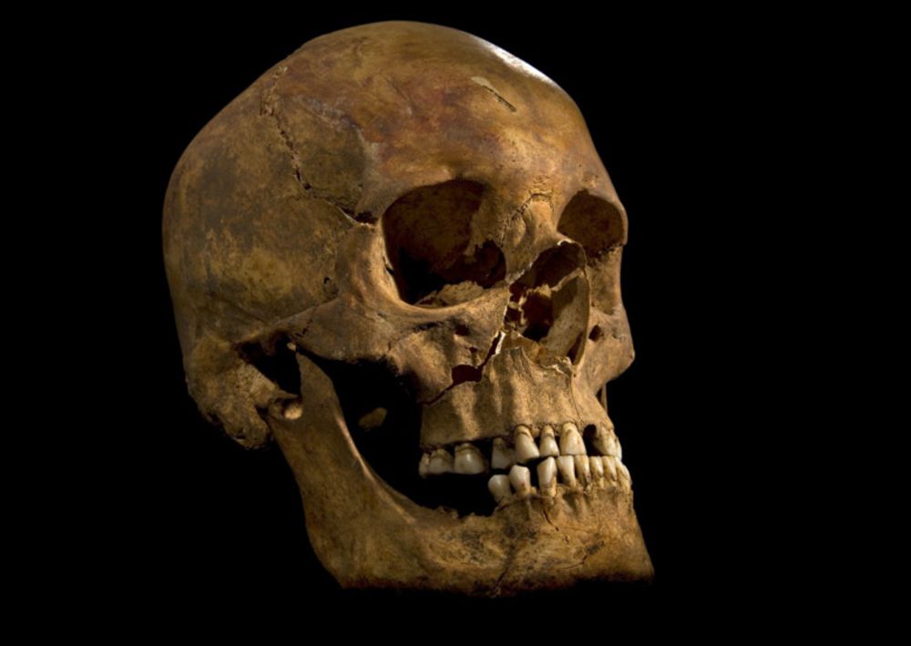 56 skulls found in Austrian house