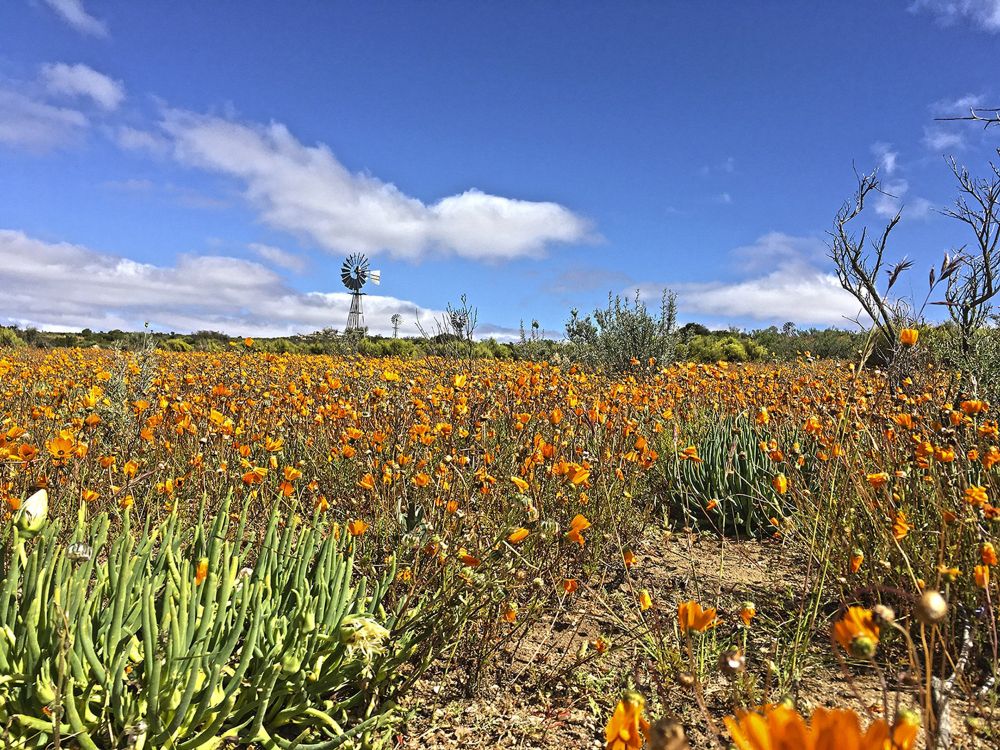 Hit the road: Discover SA’s big sky country