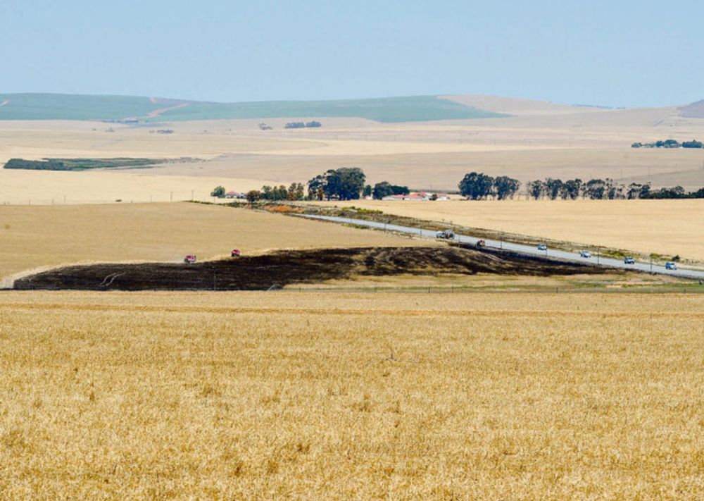 Drought takes a grip on Cape municipalities