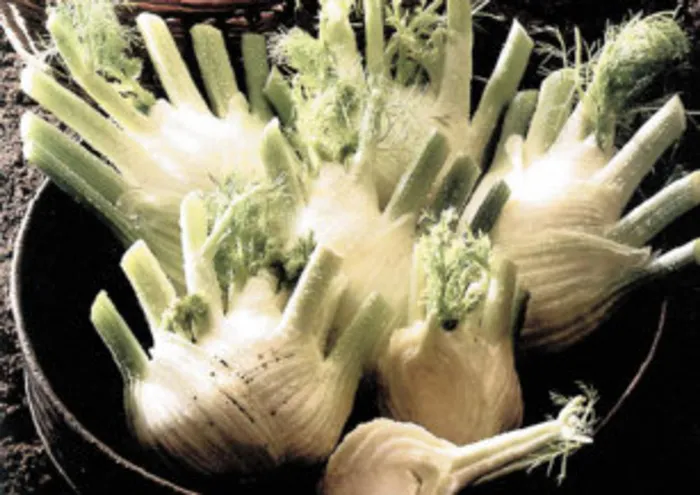 Pretty fennel not everyone’s cup of tea