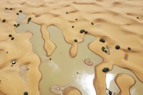 Sahara desert flood: Water could change the region’s climate for months ...