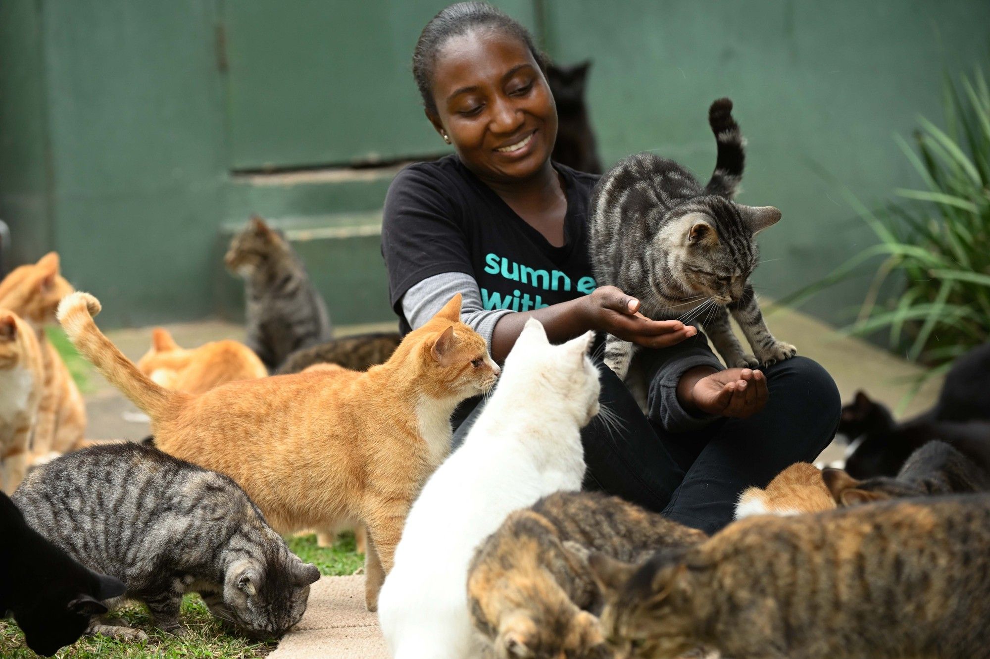 Kukhuthazwa ukunakekela izilwane ezingenabani noxhaso