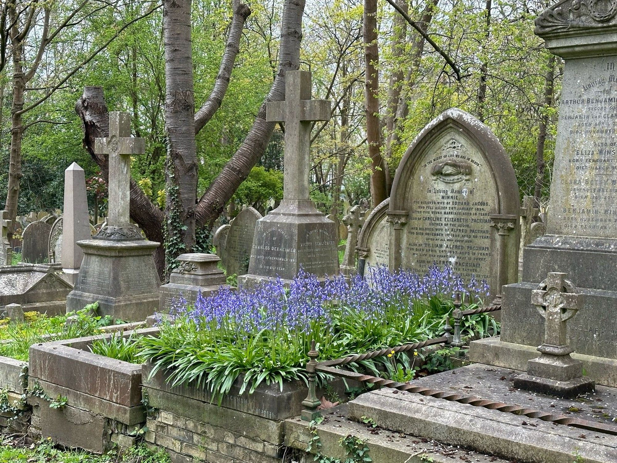 Dr Cahi takes Highgate Cemetery
