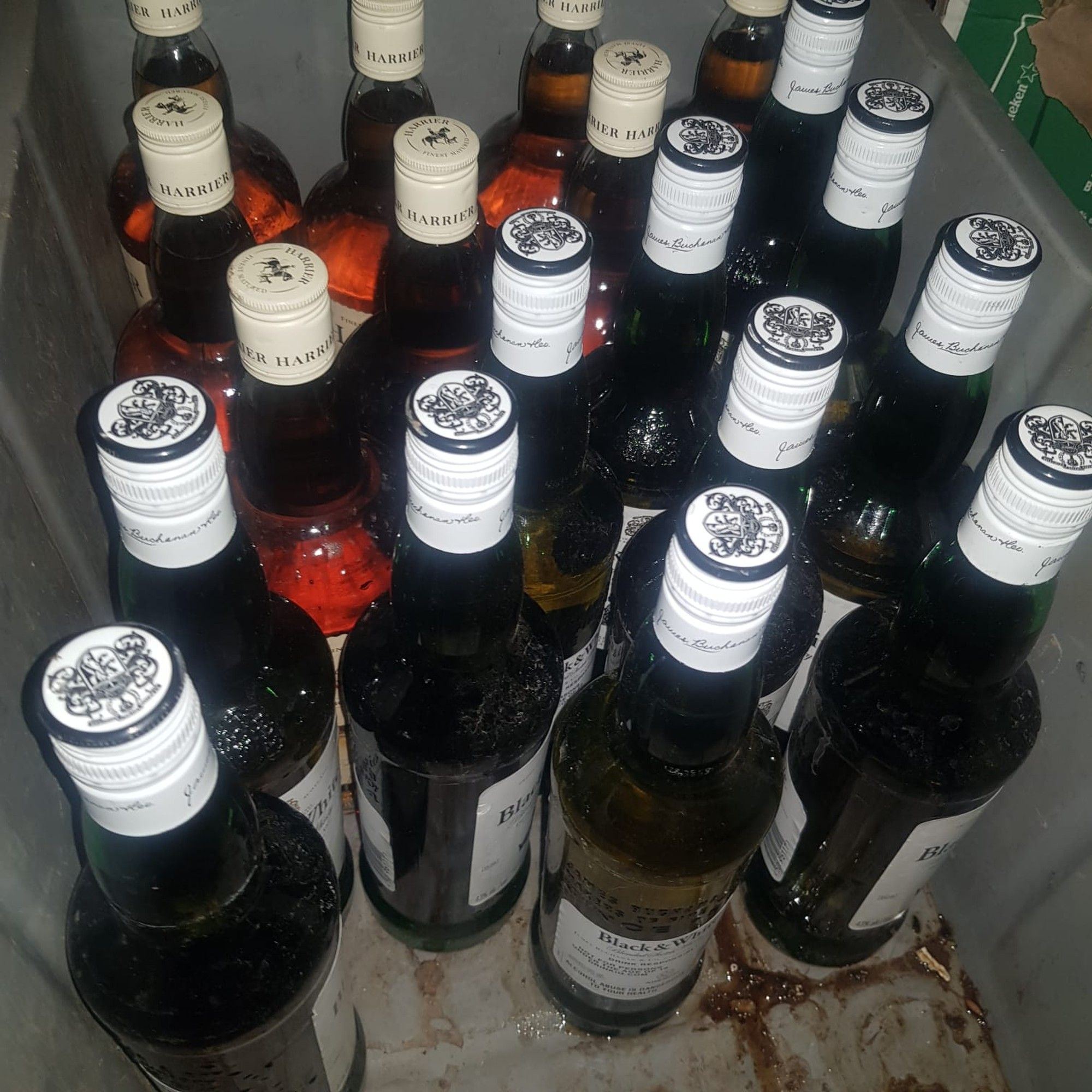 Several bottles of liquor stolen during midnight armed robbery at ...