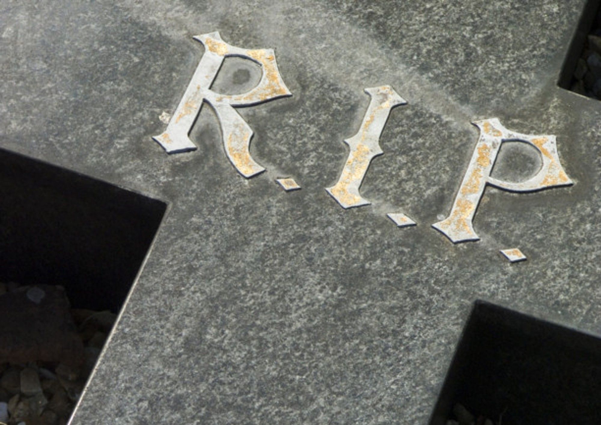 Robin Alexander dies