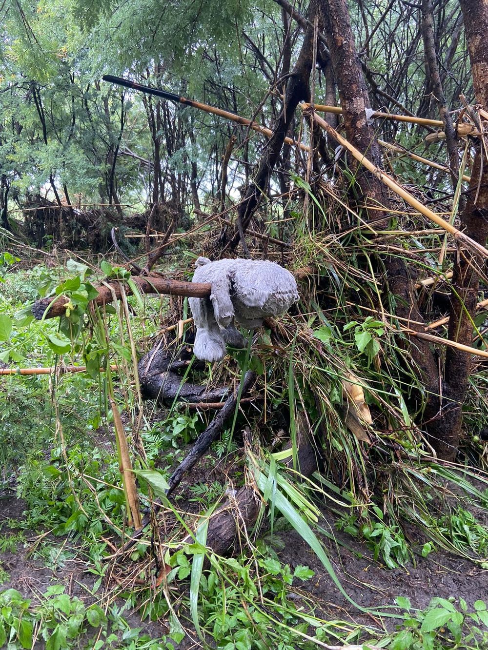 Ladysmith hit with more flooding, following heavy rainfall
