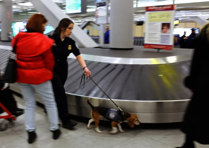 Which airport is top germ spreader?