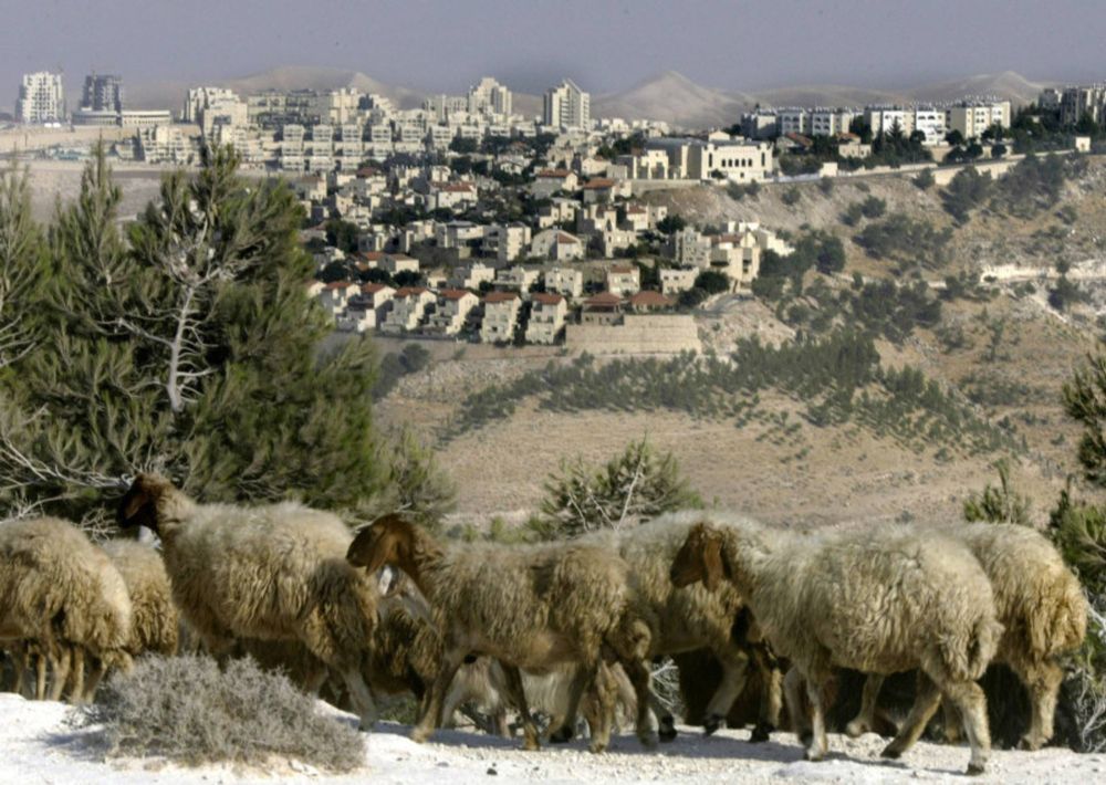 Settlement construction ‘hampers peace’