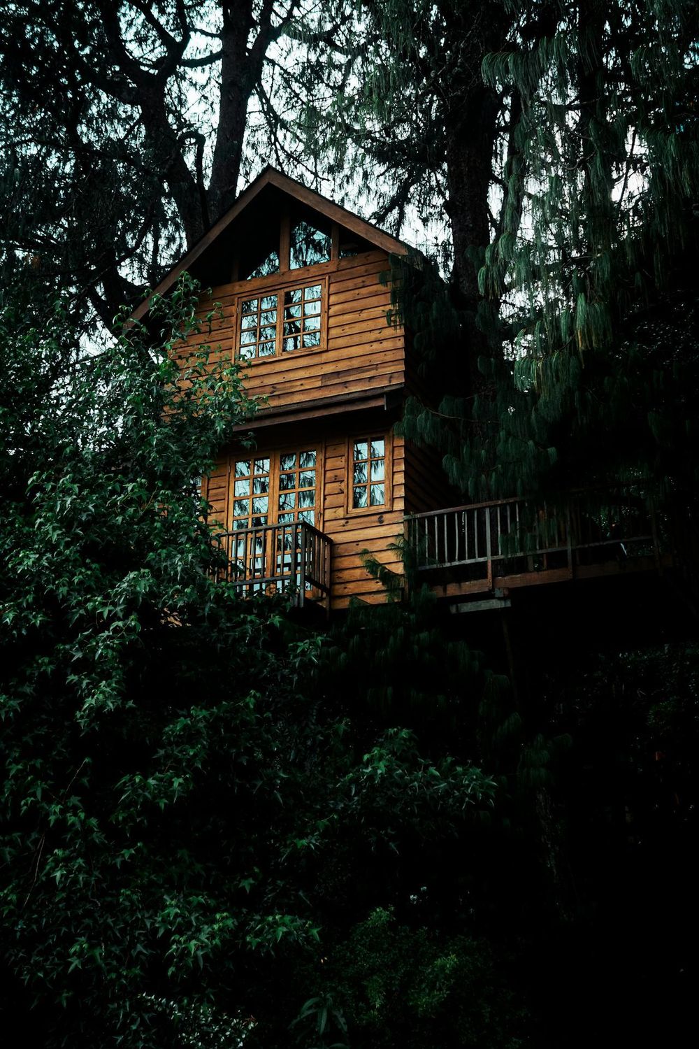 Why a deep forest escape is South Africa's best-kept winter travel secret
