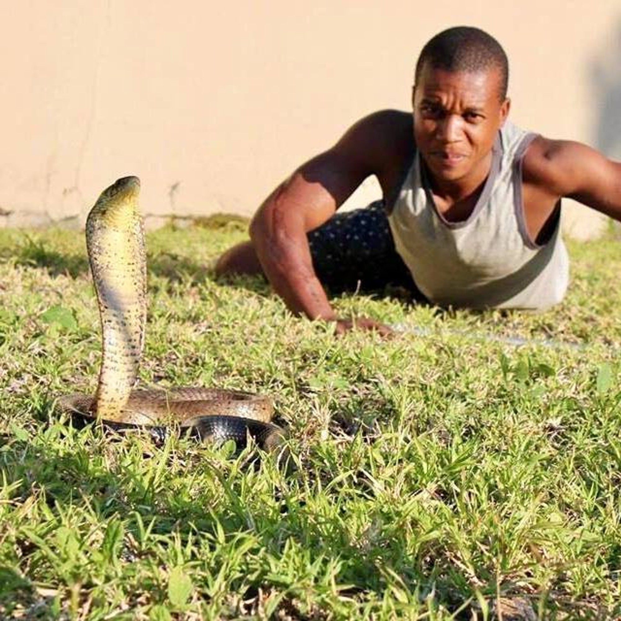 Ungazami izaba ekhaya uma ulunywe inyoka