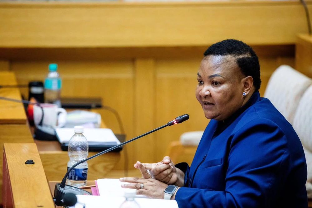 Deputy Police Minister Boshielo reveals 'toxic' leadership crisis in SAPS