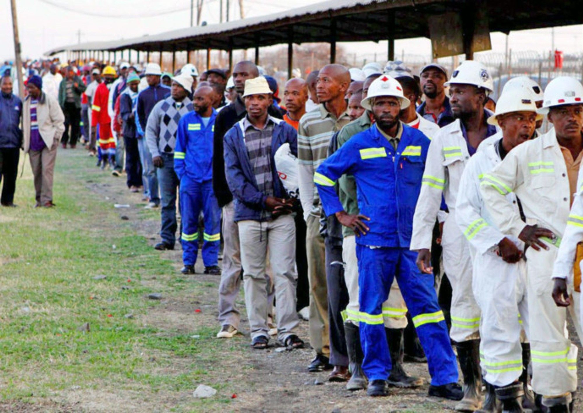 Mystery surrounds body in tree