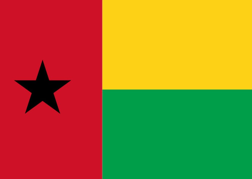 Guinea cops fire tear gas at students
