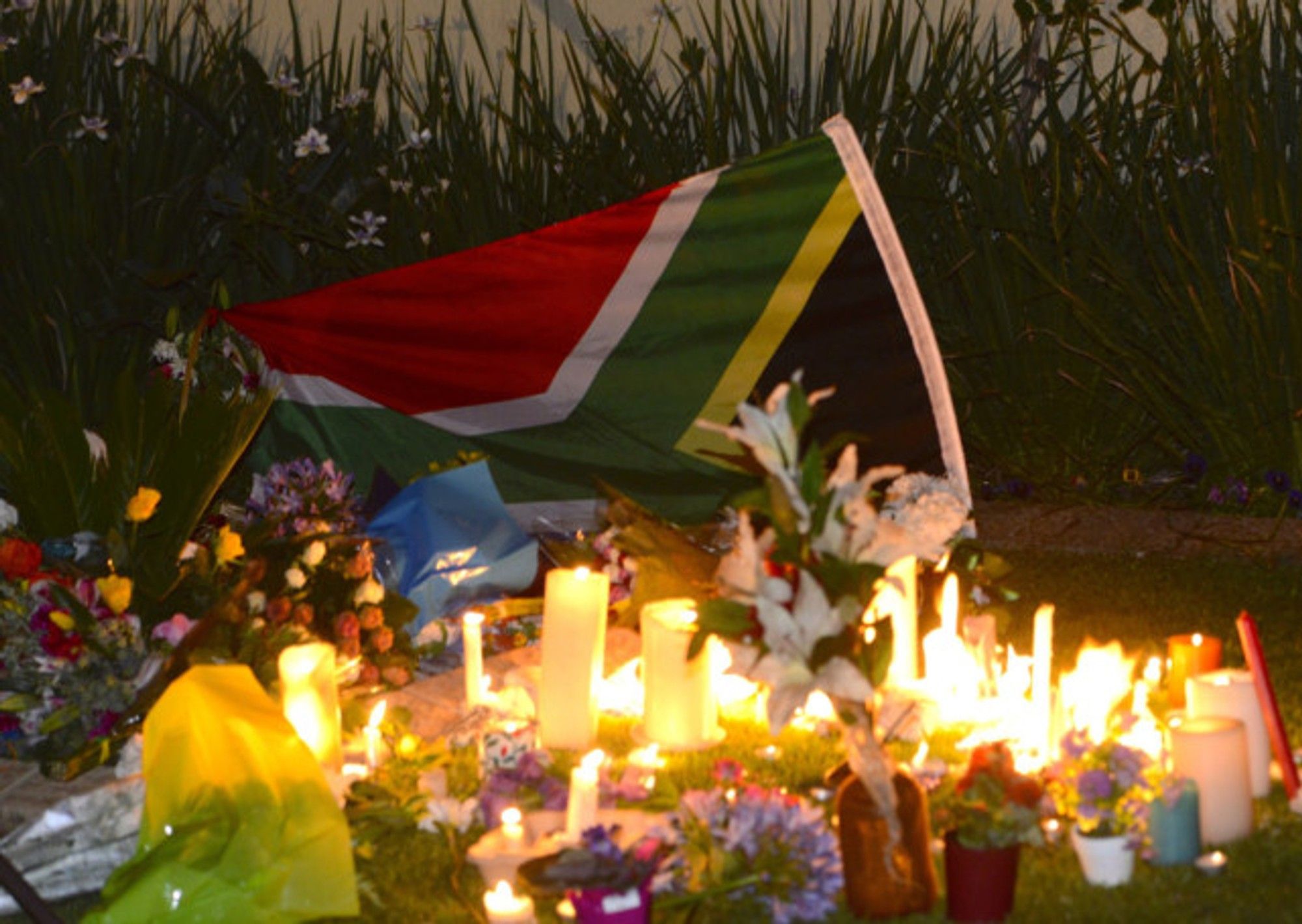 Fedusa celebrates Madiba