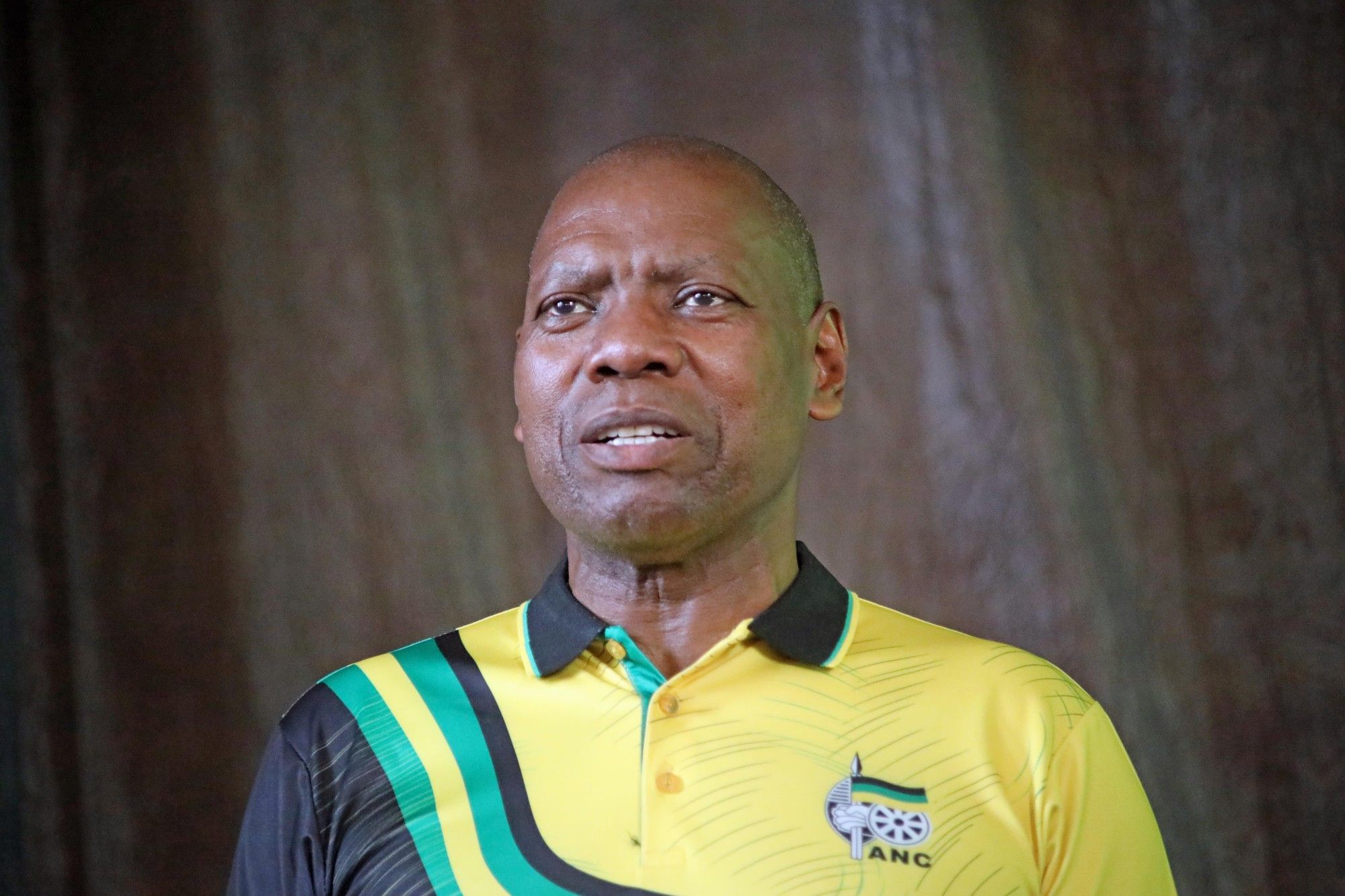 Kuhlukane imibono kwabaseWillow kuhlulwa uMkhize kwi-ANC