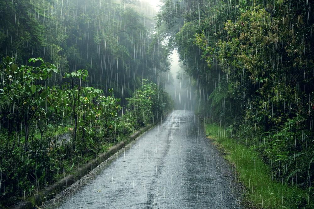 Durban' s rainfall exceeds annual average just four months into 2025