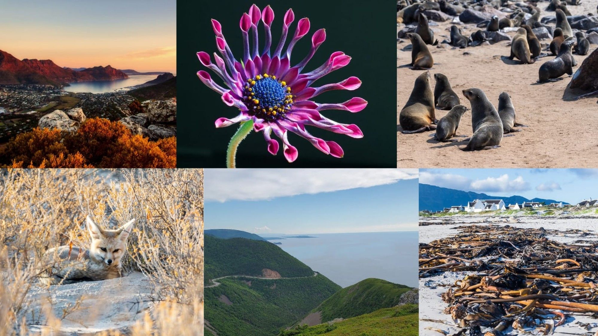 Free entry to reserves for Cape Nature Access Week