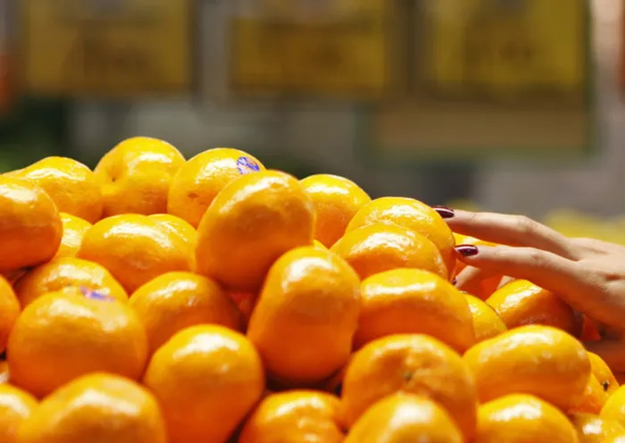 EU seeks to avoid SA citrus ban