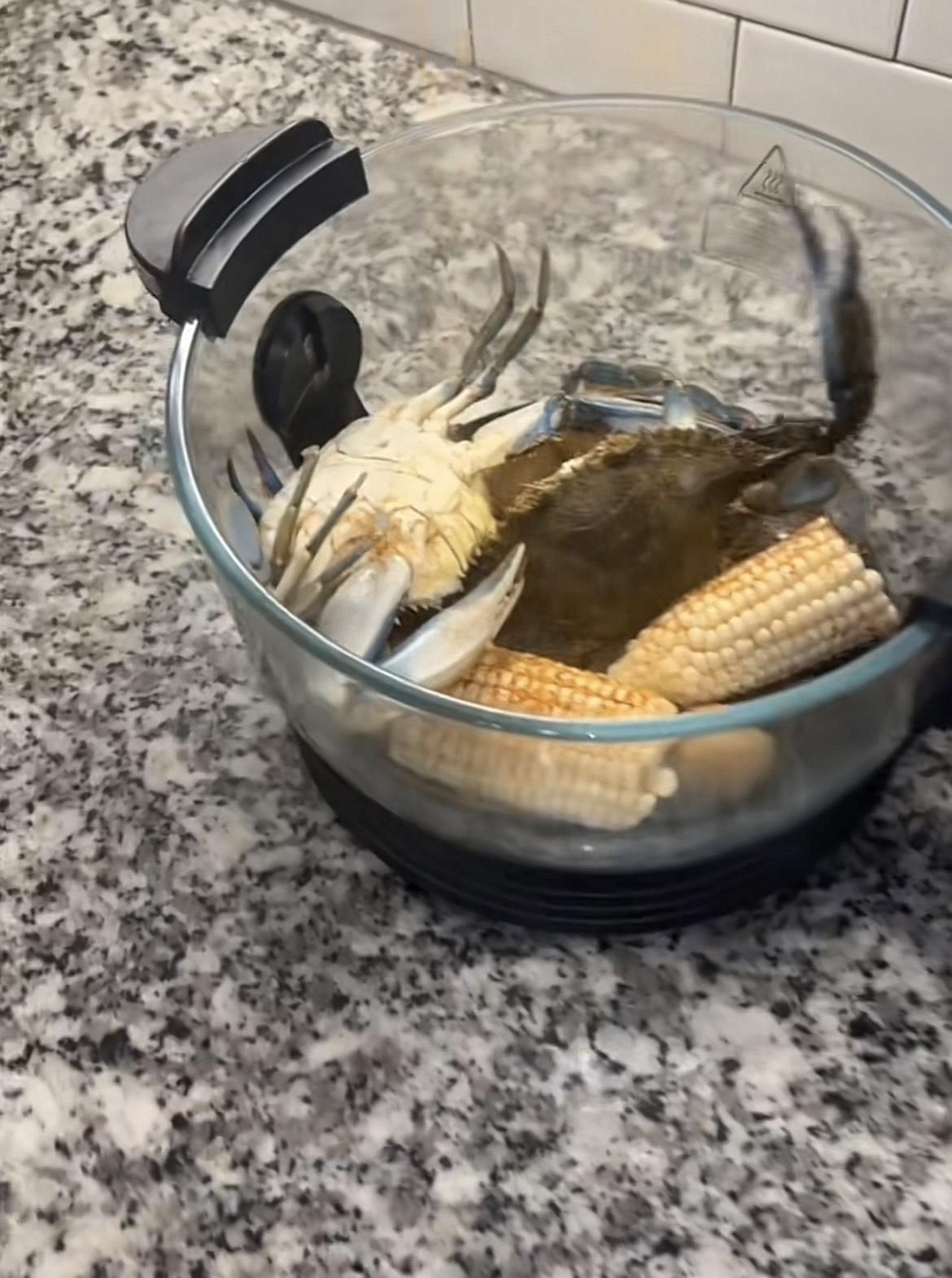 Crabby controversy: TikTok users roast woman for air frying live crabs