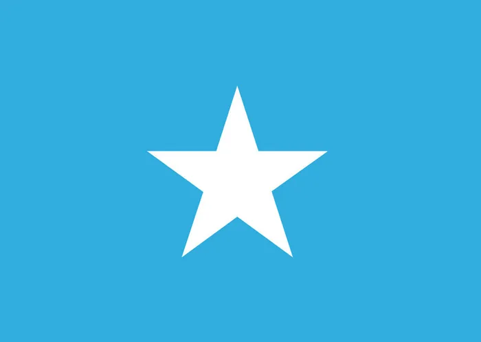 Somali central bank chief quits