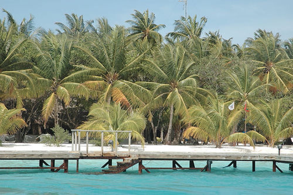 Soak up the tropical sun!