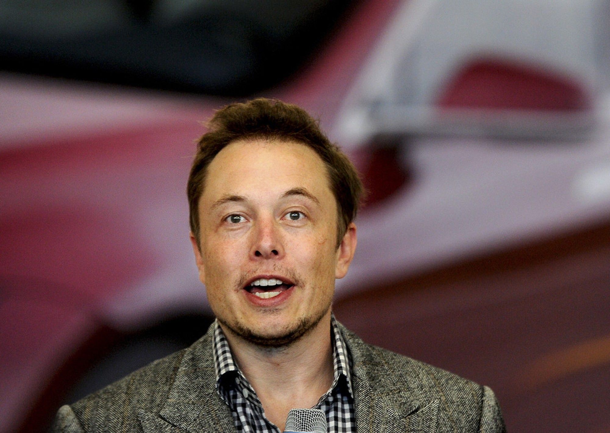 Elon Musk and Mark Zuckerberg's cage fight 'is still on'