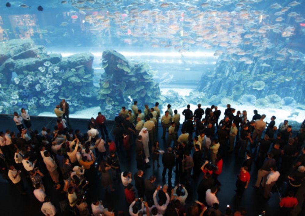 The Proteas take World Cup trophy for a swim