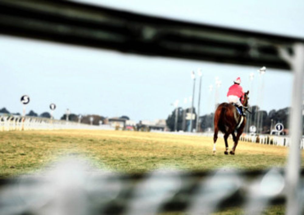 Horse racing inquiry nears finish line