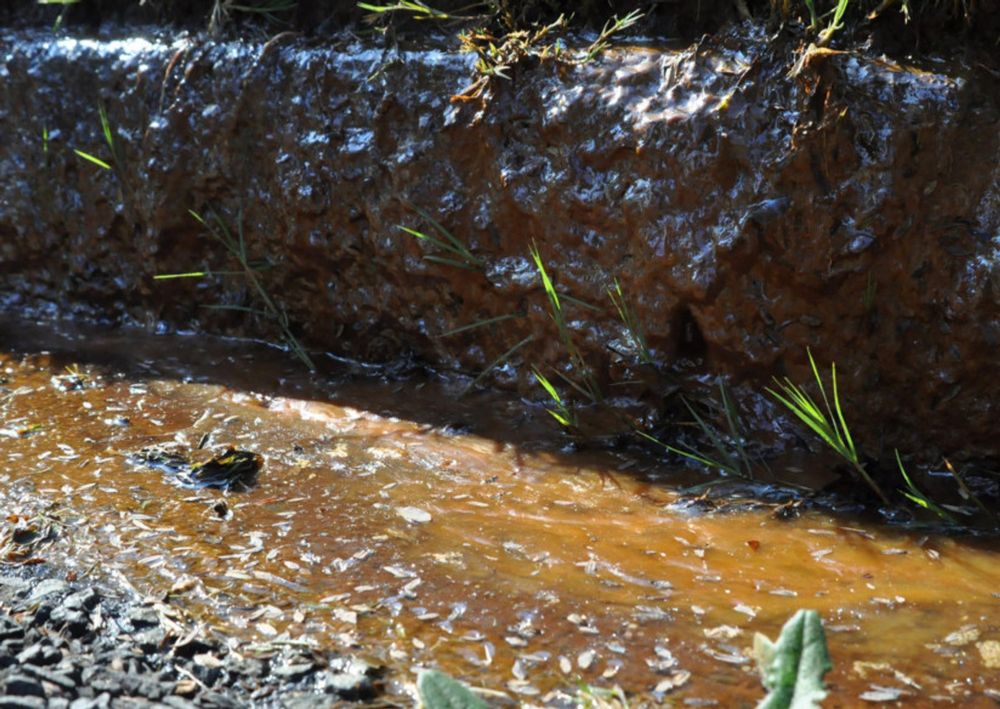 Harmony must pay for acid water: court