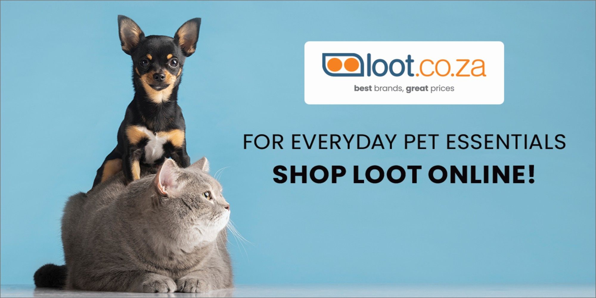 Loot has something for every pet, all at an affordable price