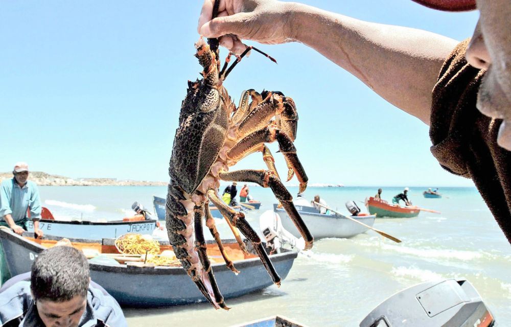 Small-scale fishers still seeking 'acceptable solution' after rock ...