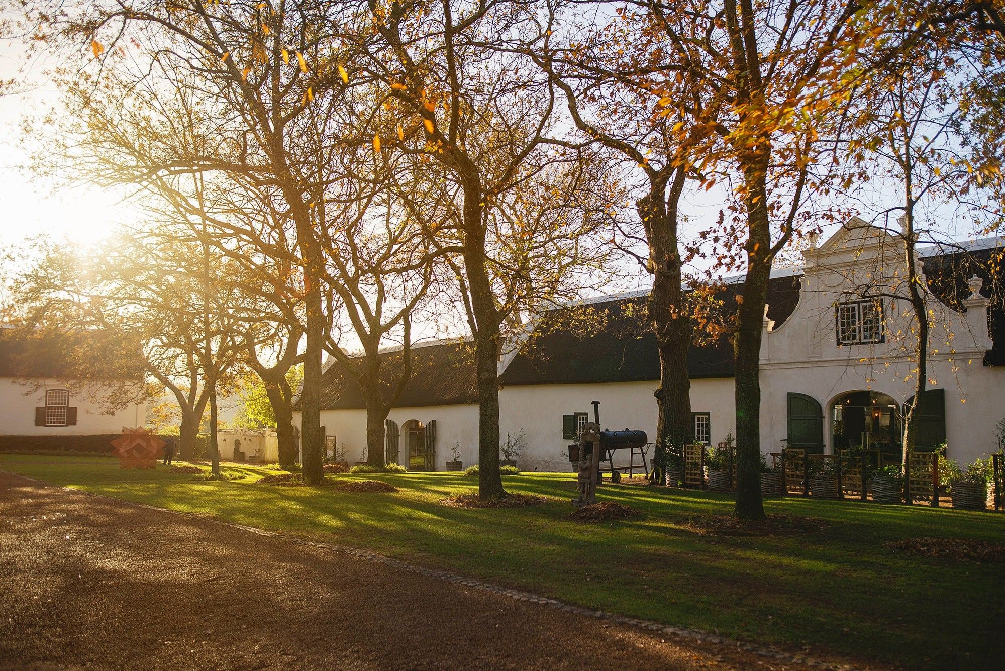 Boschendal’s The Werf: Contemporary farm dining made with love