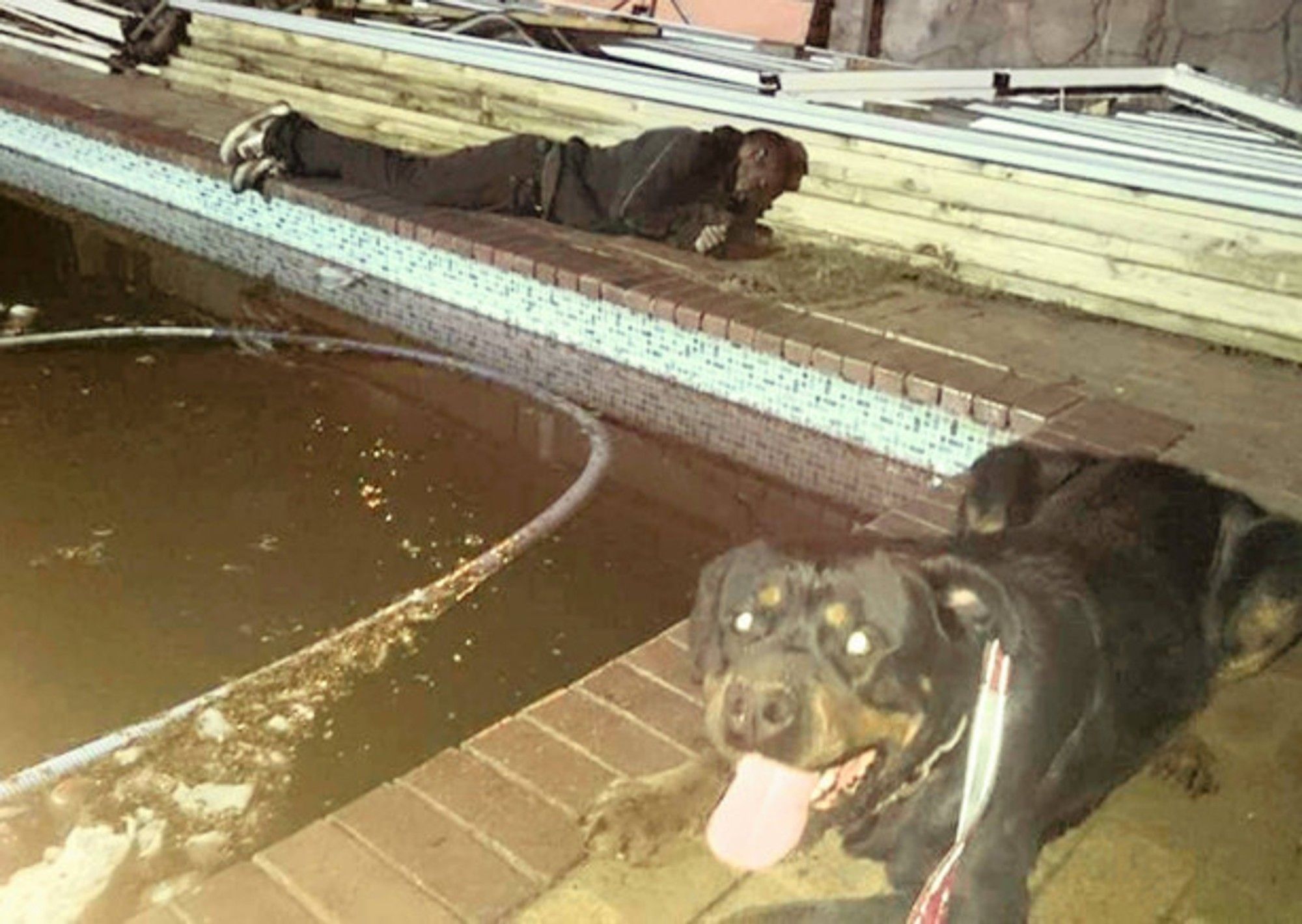 Robber nabbed after falling into swimming pool