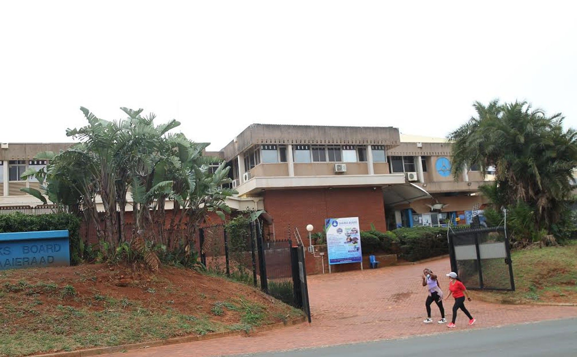 Sharks Board settles its debt