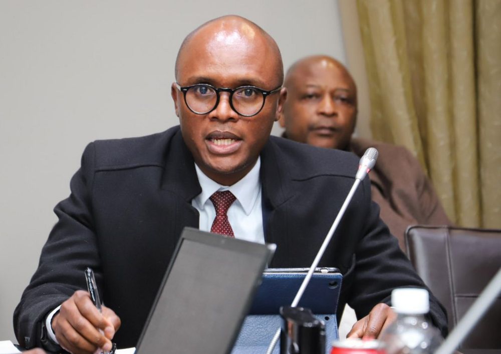 ANC flags ‘serious risk’ as Malatsi’s new Gazette sparks regulatory ...