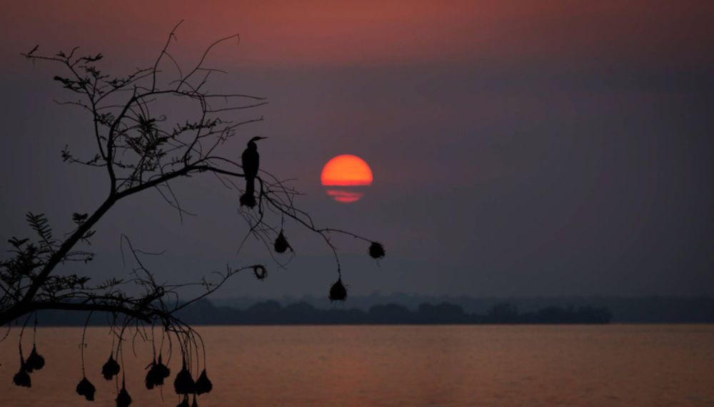 More to Rwanda than just gorillas