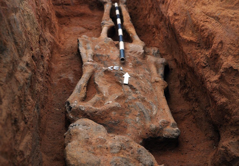 Experts work on mystery skeletons