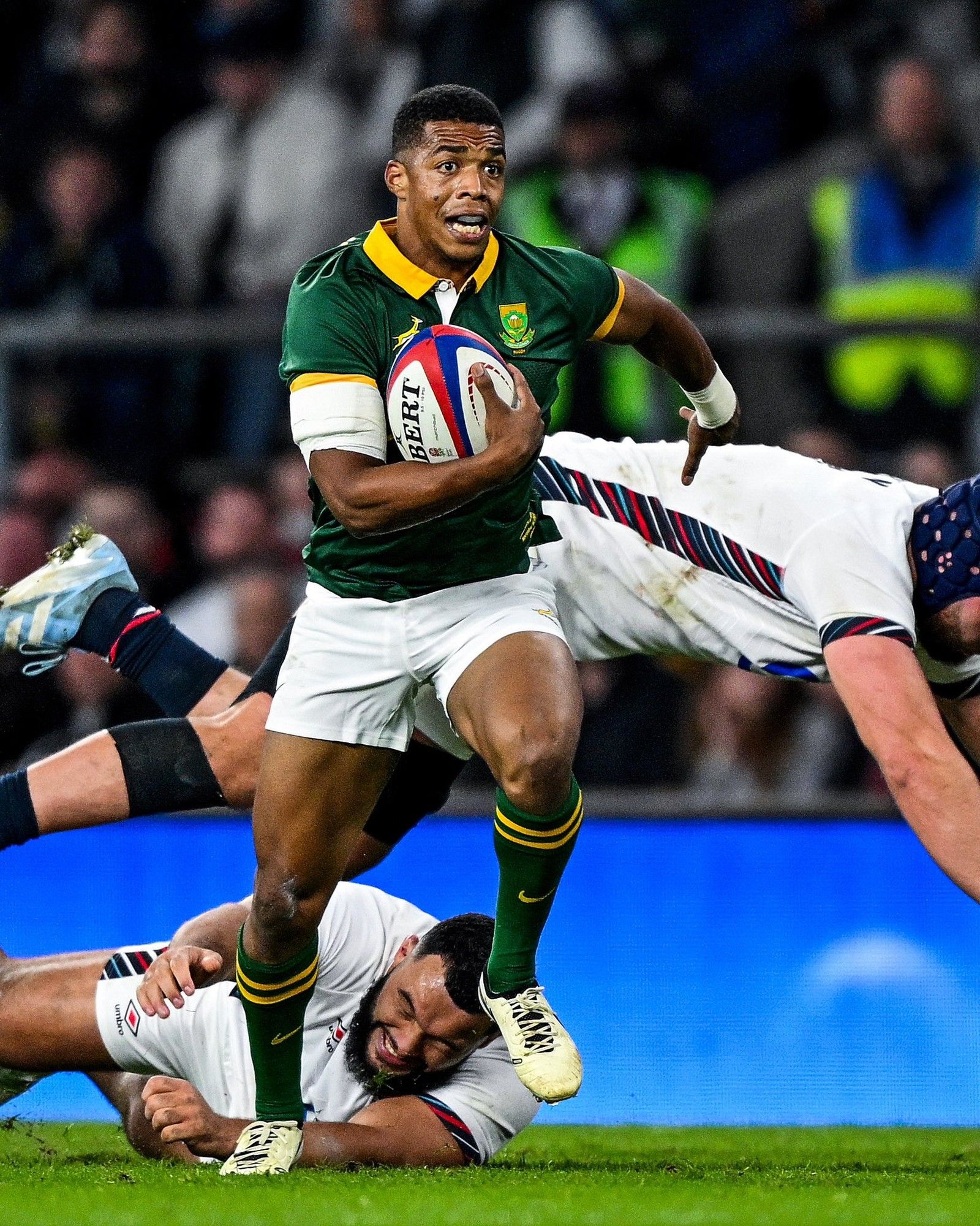 Springboks Fassi, Ox Nche pay tribute to 'remarkable' Grant Williams