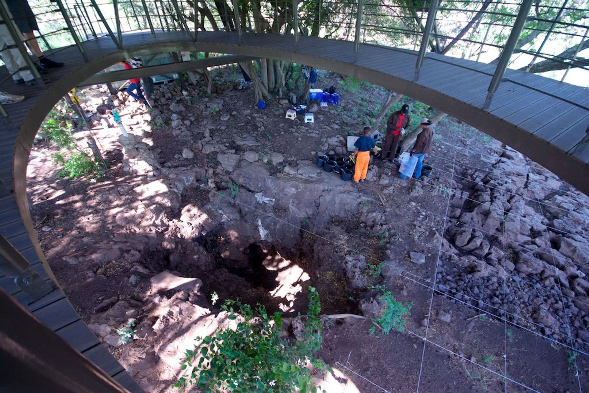 Bones leads the way: Remains of ’strange creatures’ in cave near Joburg