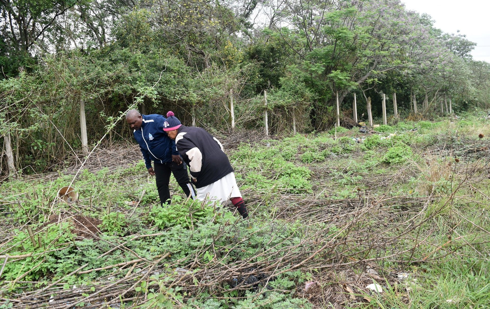 Bathole ‘amathuna’ becenta enkundleni yezemidlalo