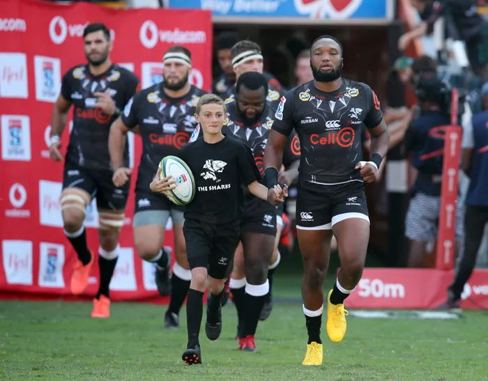 Sharks have gone from rugby zeros to heroes