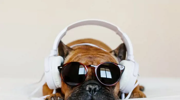DIY Household Hacks: Earphone Keeper