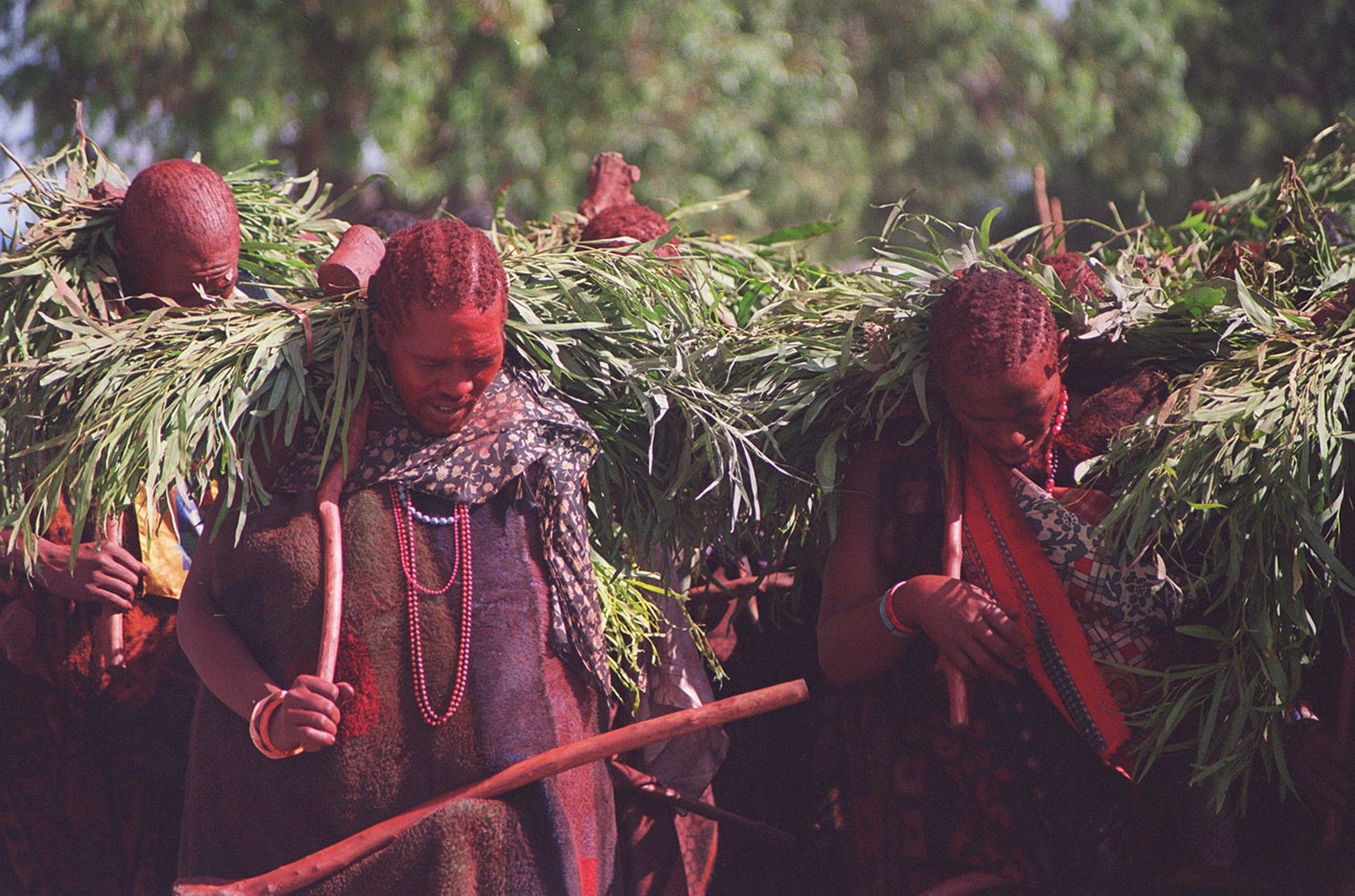 Land blocked for initiation rite of passage: Sotho, Hlubi say their ...