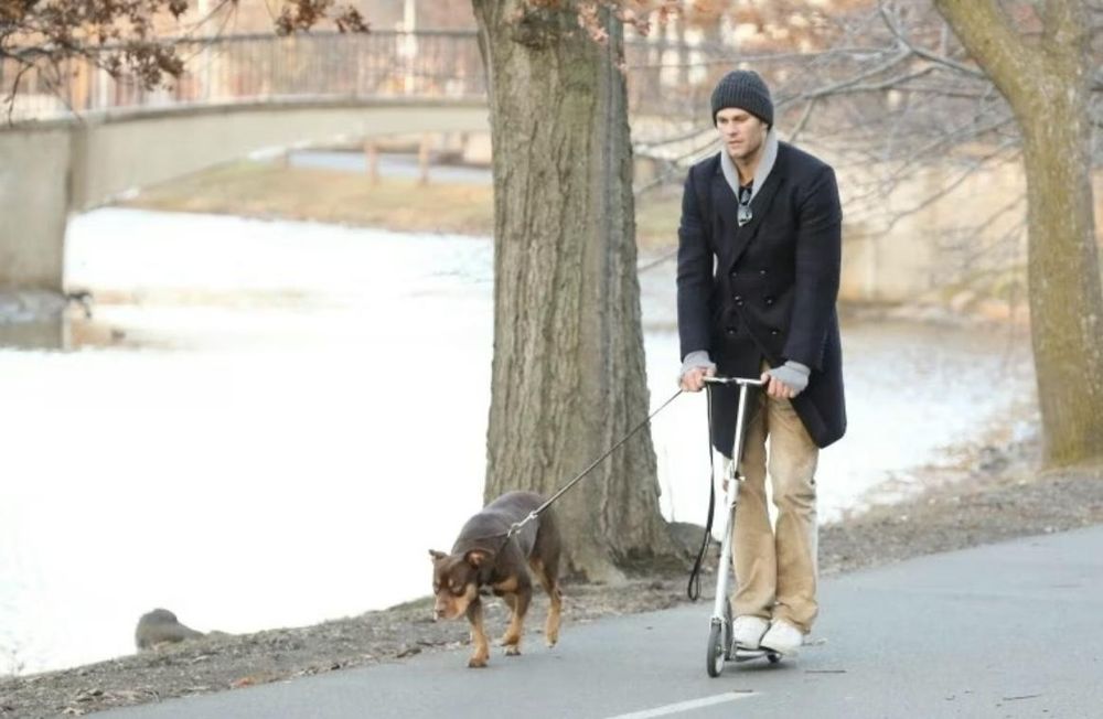Tom Brady's cloned dog sparks debate: exploring the billion-dollar pet ...