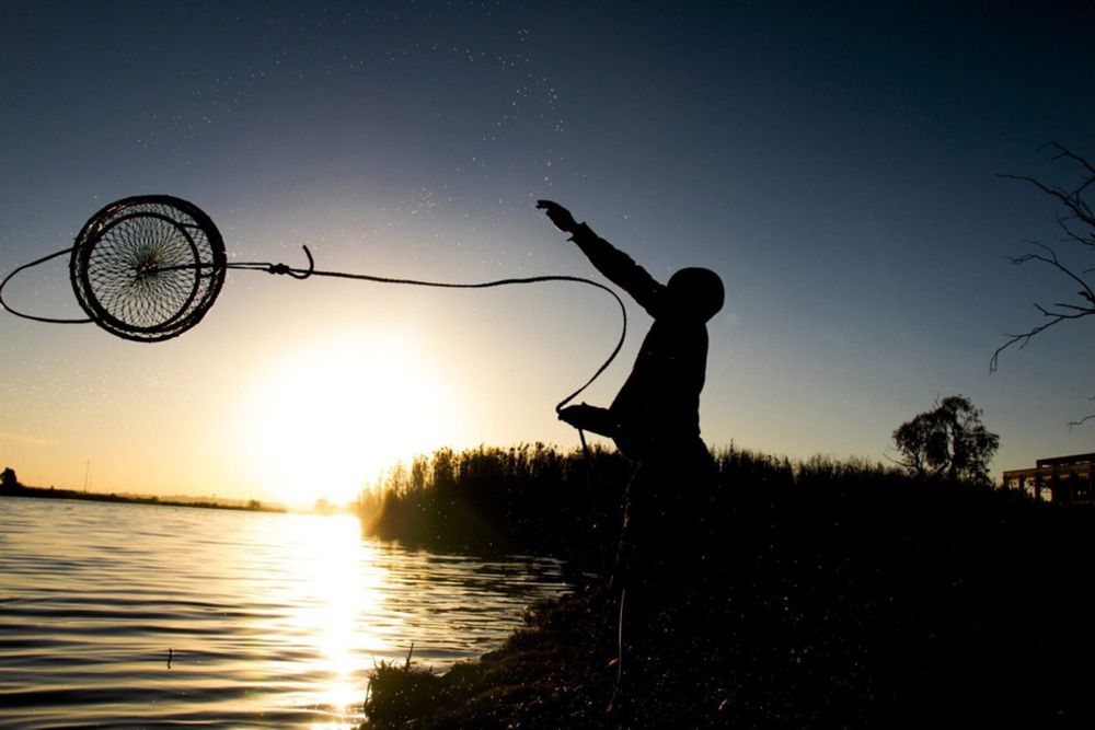 Editorial: Goodfishing