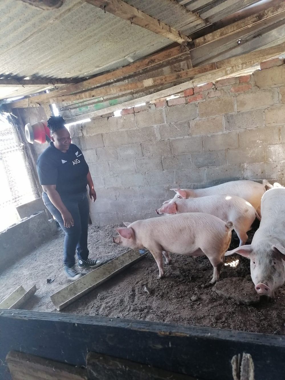Mfuleni pig farmers hit hard by African Swine Fever outbreak
