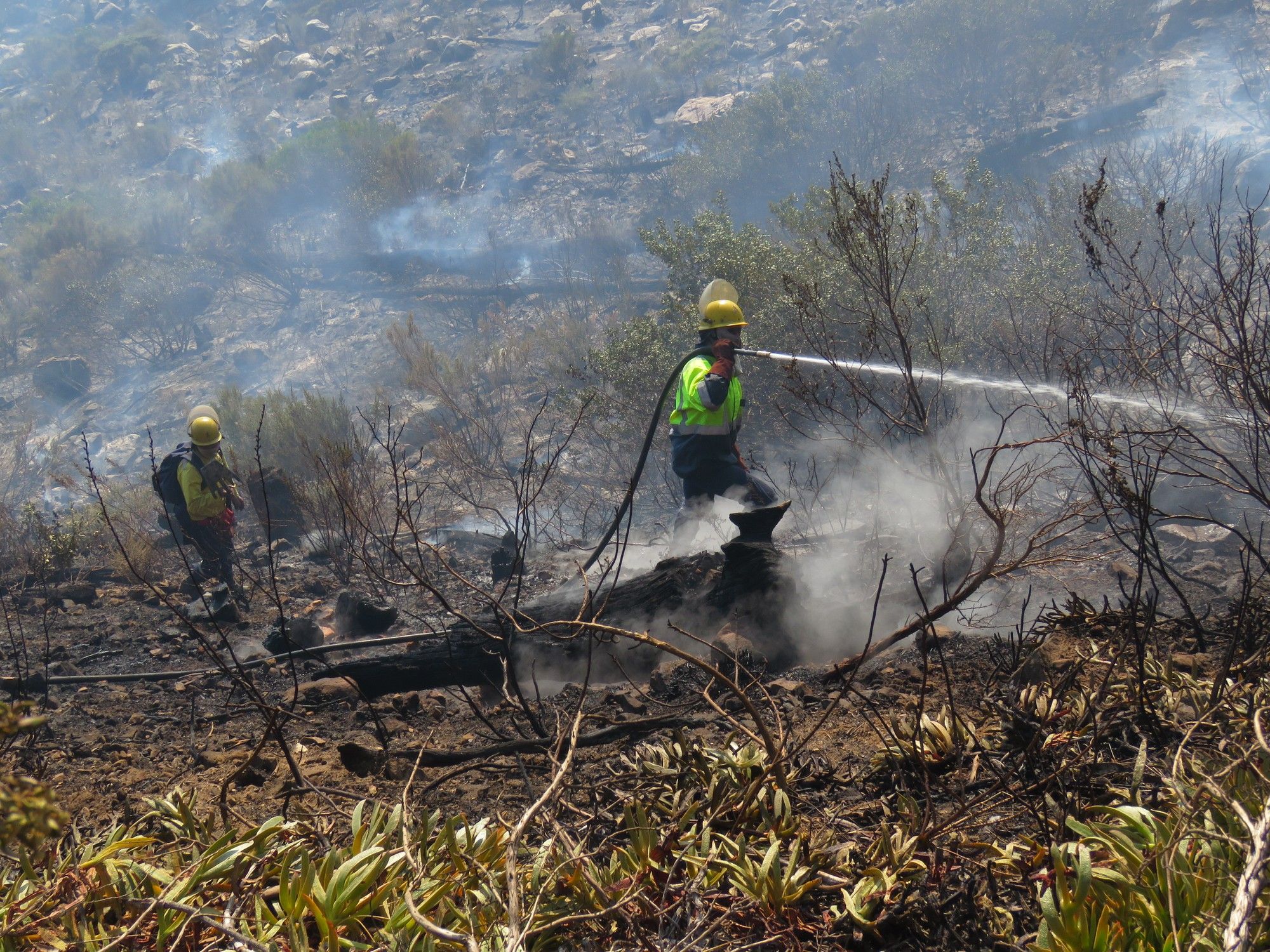 Karoo farm in danger as Kammanassie mountain fire spreads
