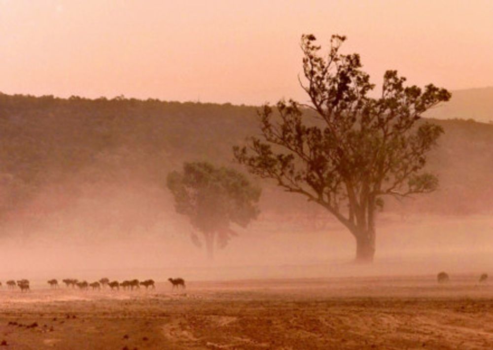 Man dies of thirst in Australian Outback